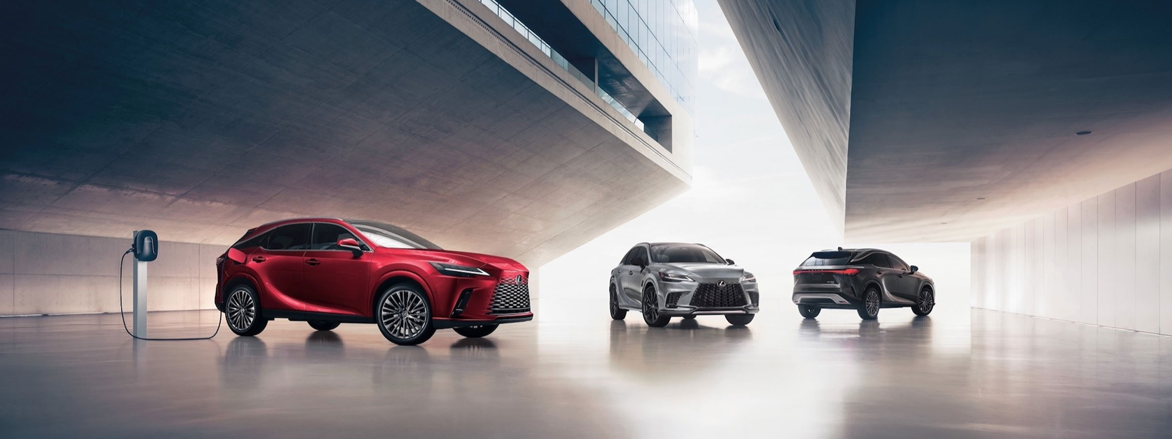 Lexus Seasonal Assets - Coopable